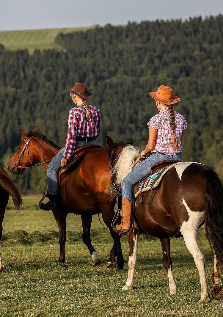 Zubehör zum Freizeit und Westernreiten für Pferde